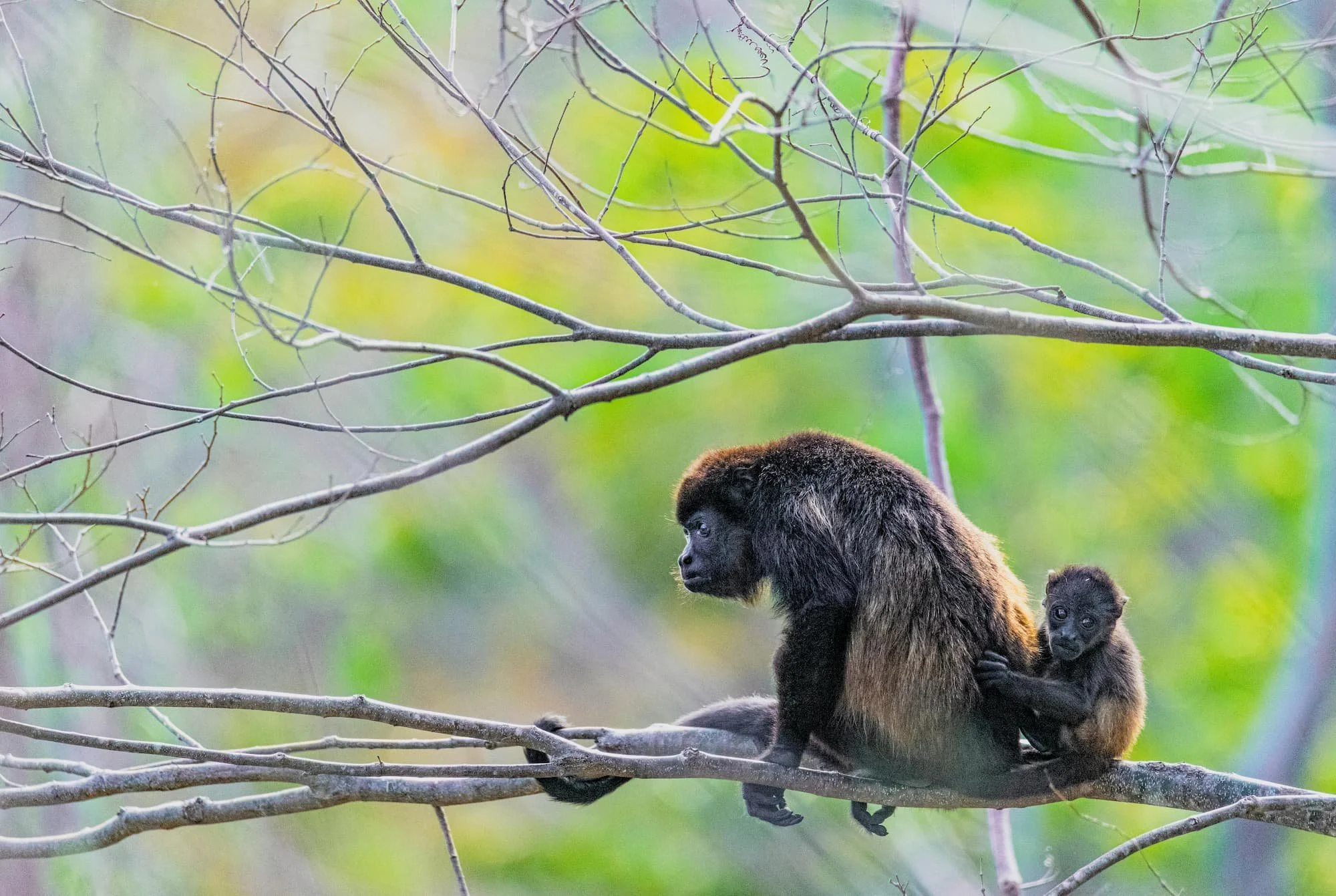 What to wear for zip-lining in Costa Rica.