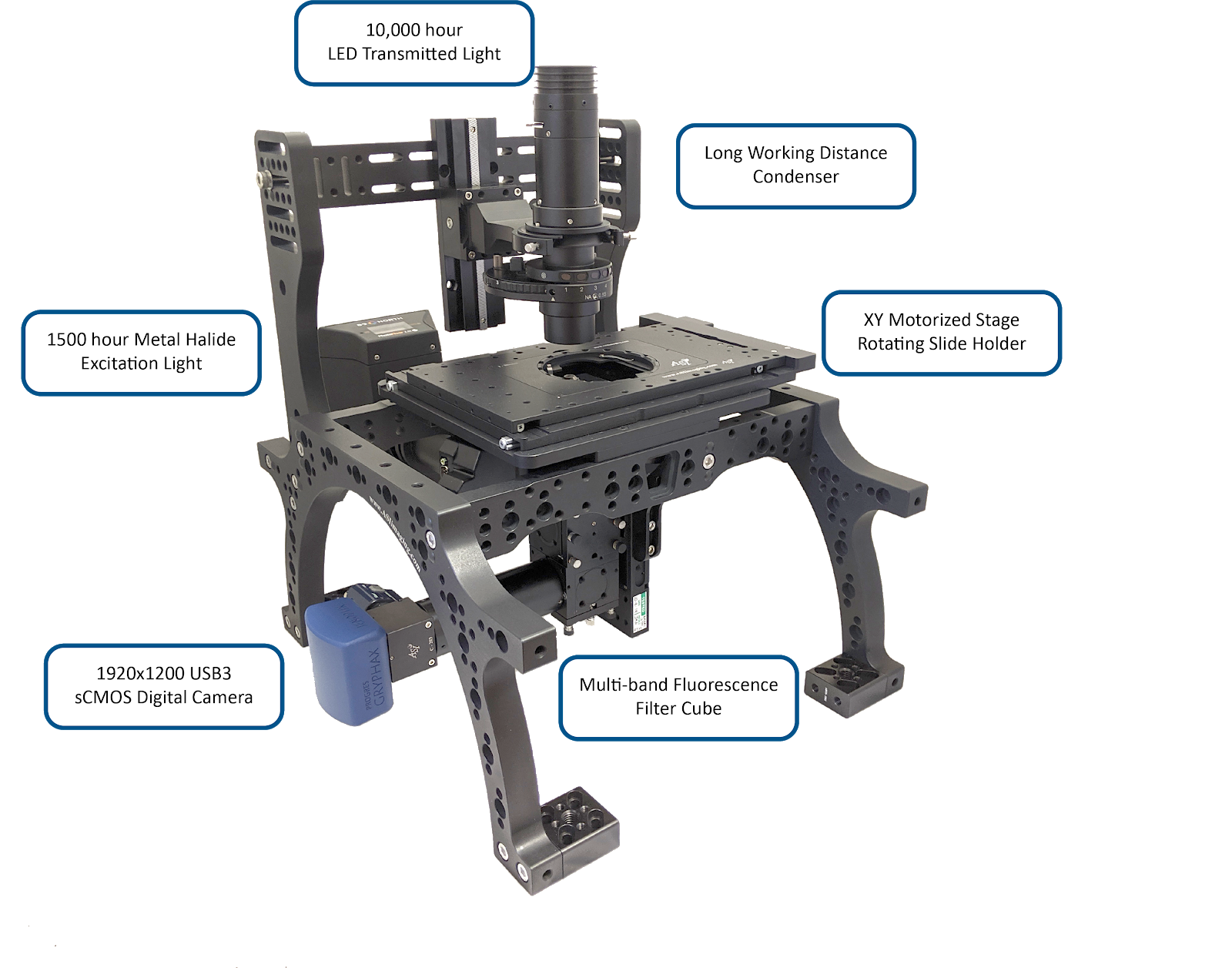 BIOQUANT SCAN Overview — BIOQUANT
