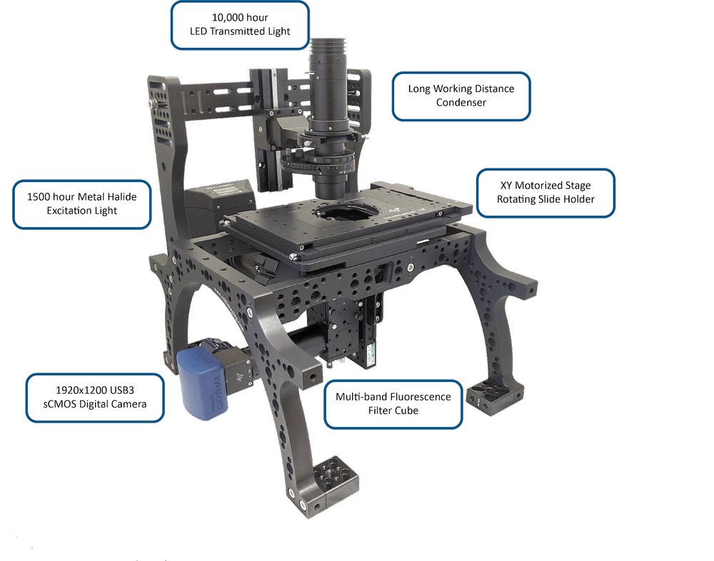 BIOQUANT SCAN Overview — BIOQUANT