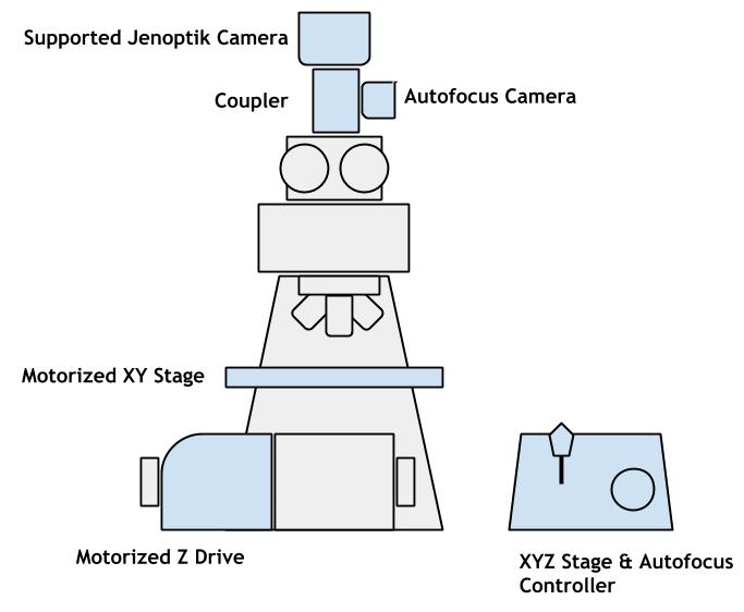 BIOQUANT SCAN Overview — BIOQUANT