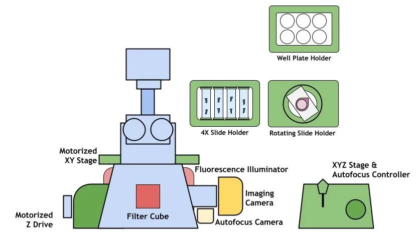 BIOQUANT SCAN Overview — BIOQUANT