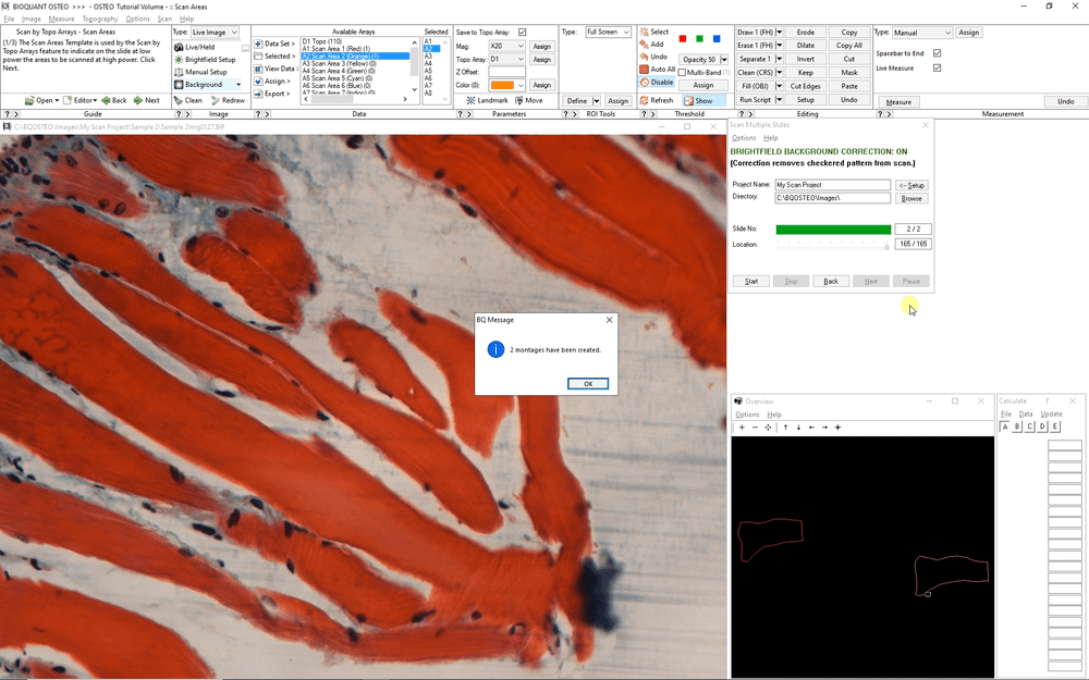 BIOQUANT SCAN | Scanning Histology — BIOQUANT