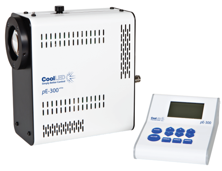 Overview of Imaging in BIOQUANT — BIOQUANT