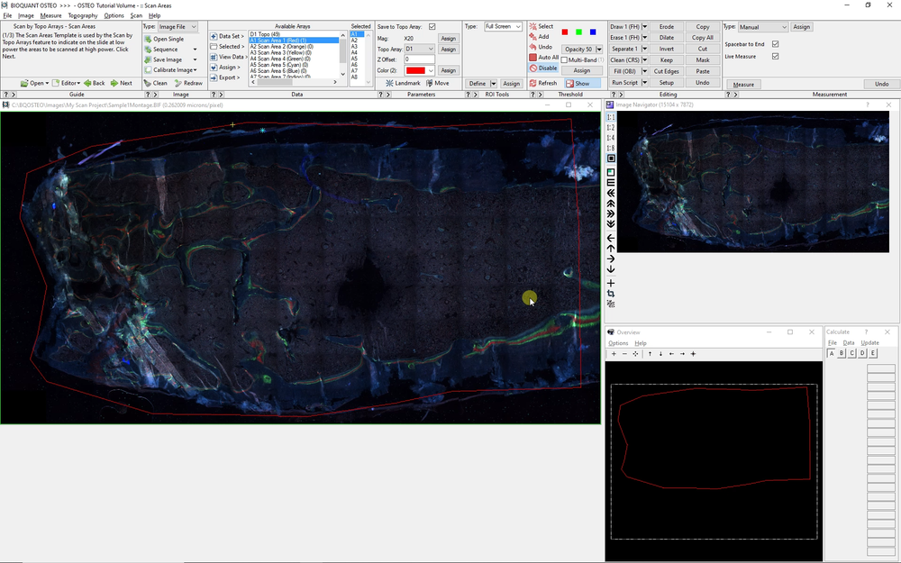 BIOQUANT SCAN | Scanning Histology — BIOQUANT