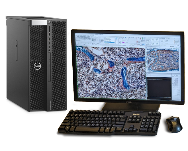 Overview of Imaging in BIOQUANT — BIOQUANT