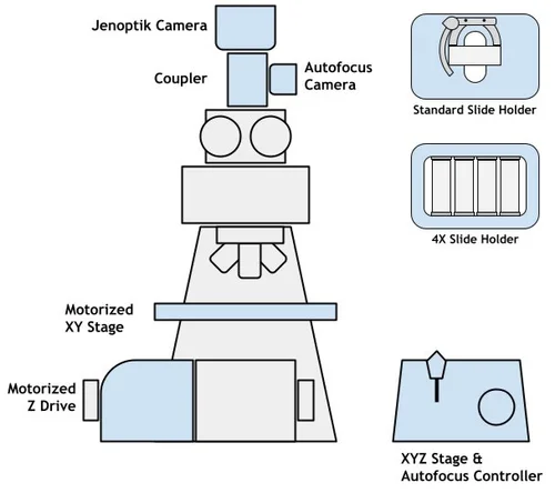Overview of Imaging in BIOQUANT — BIOQUANT