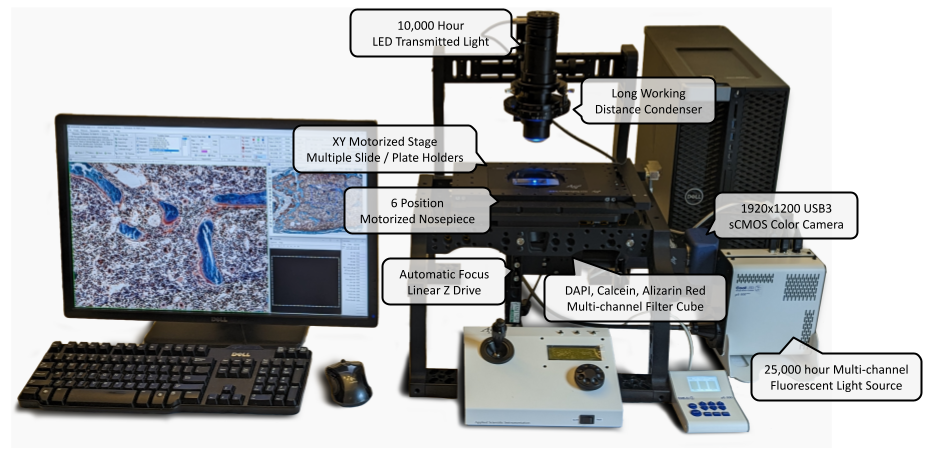OSTEOIMAGER — BIOQUANT