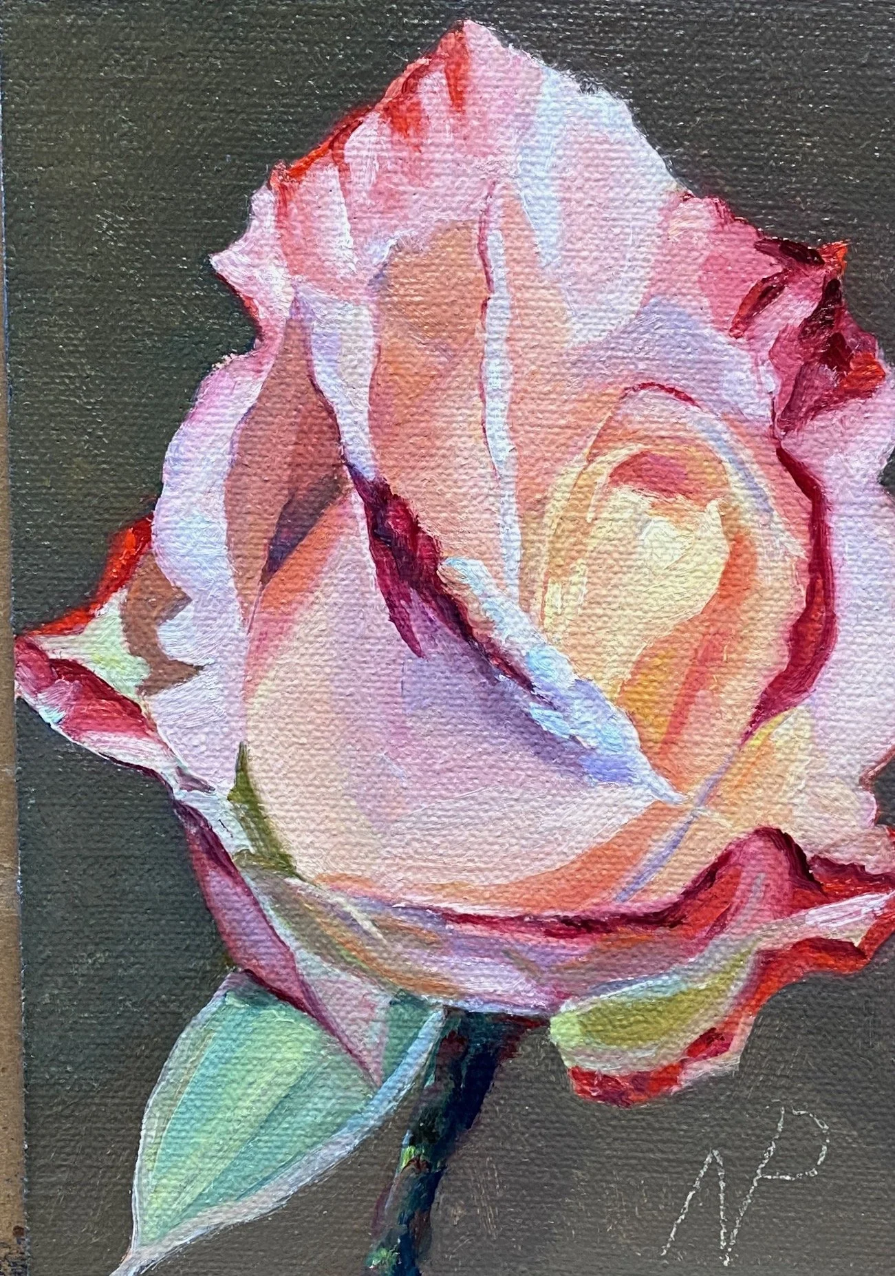 Pretty Small Rose — Nancy Plank Fine Art