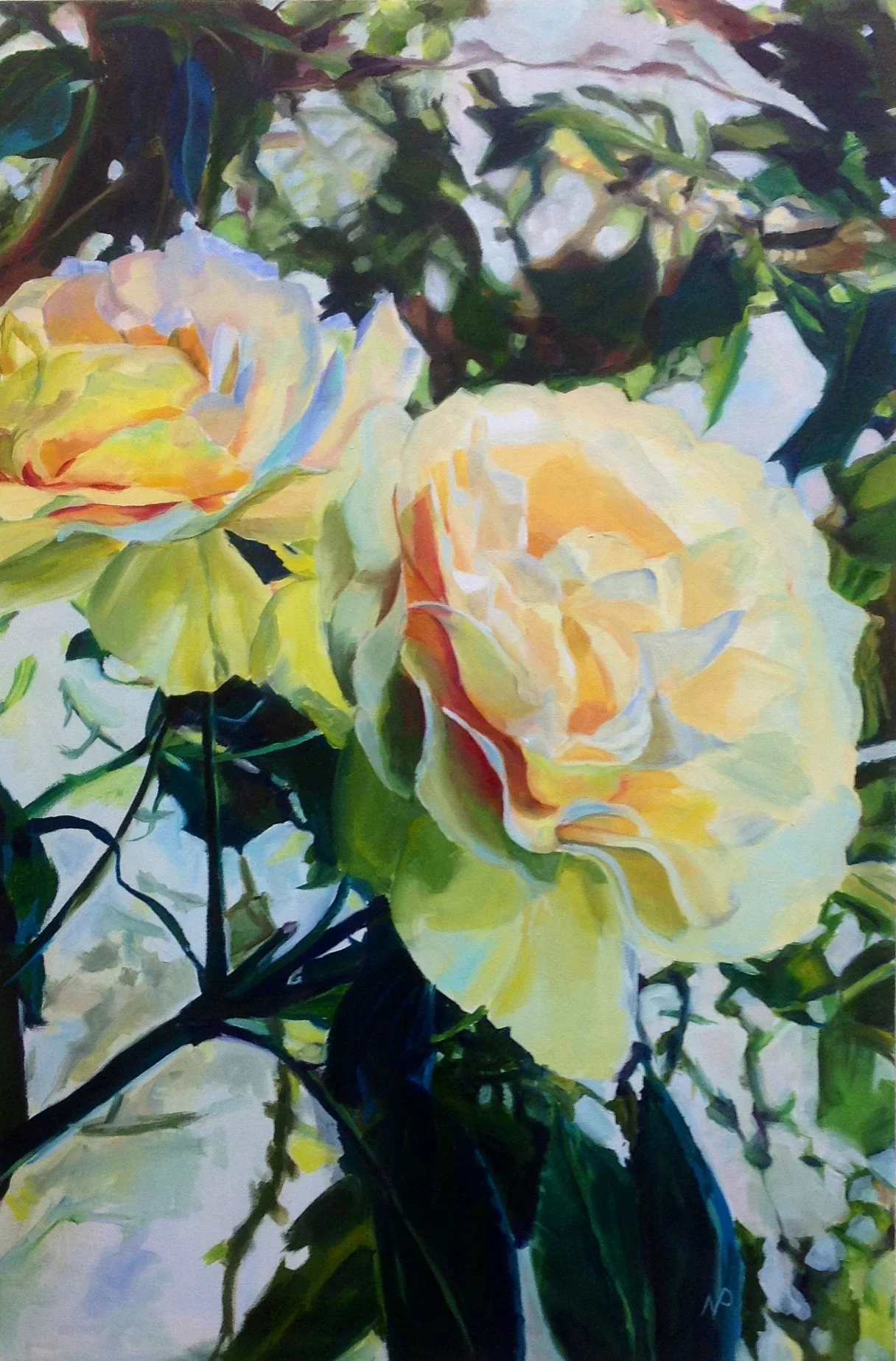 Yellow Roses at Pam's — Nancy Plank Fine Art