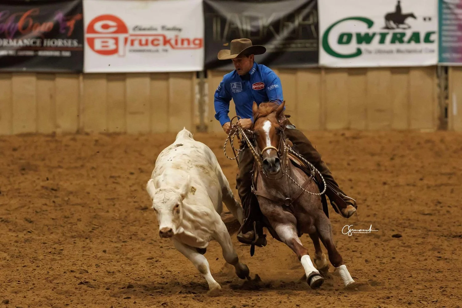 Outfoxxed | AQHA Cowhorse Stallion — KK Performance Horses