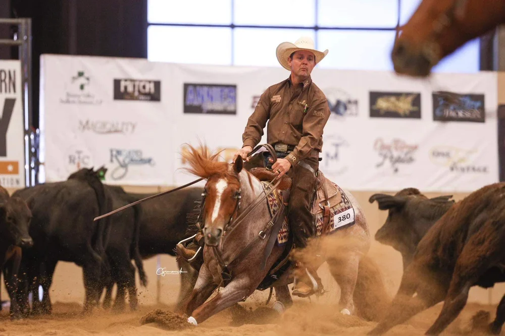 KK Performance Horses