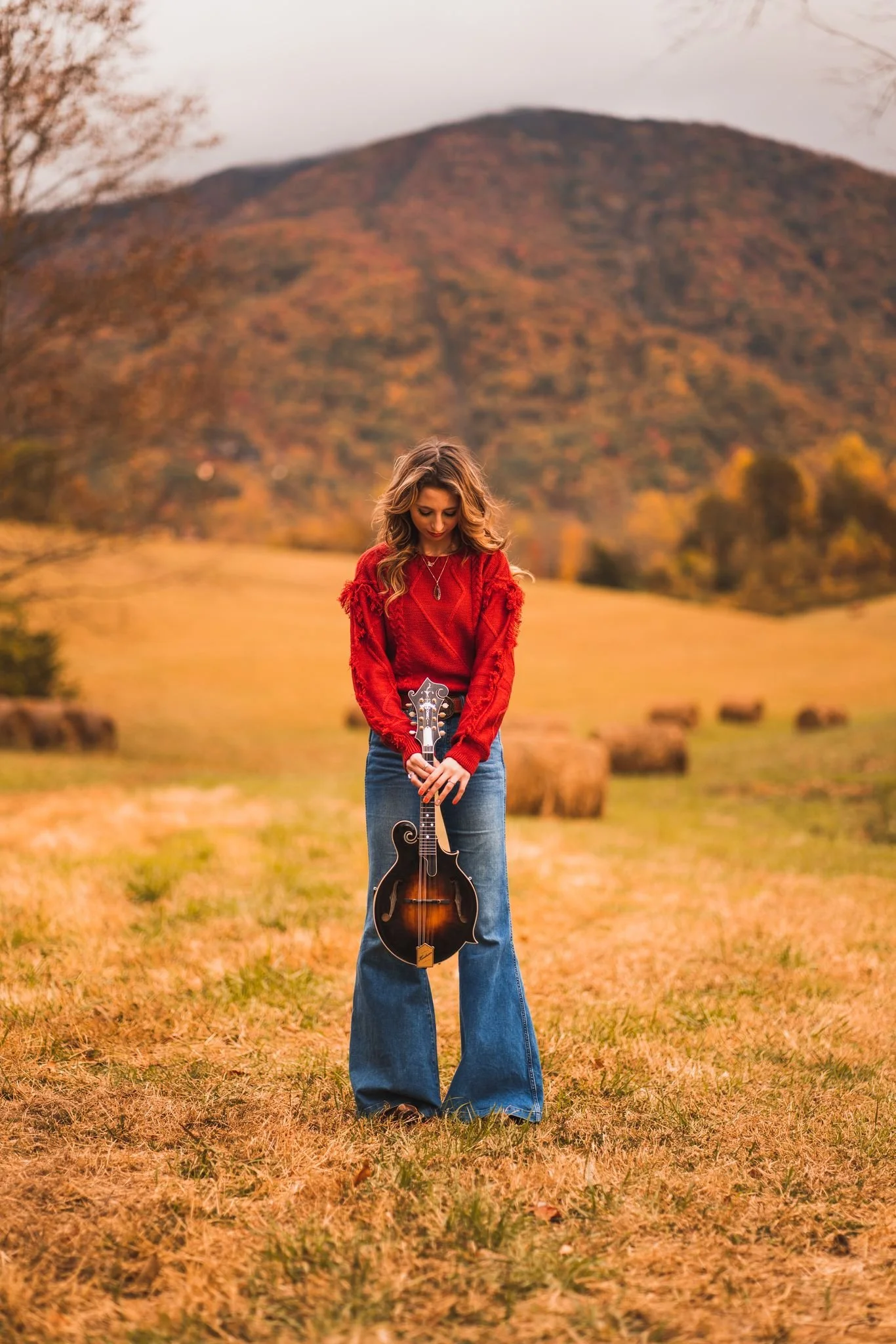 About — Addie Levy