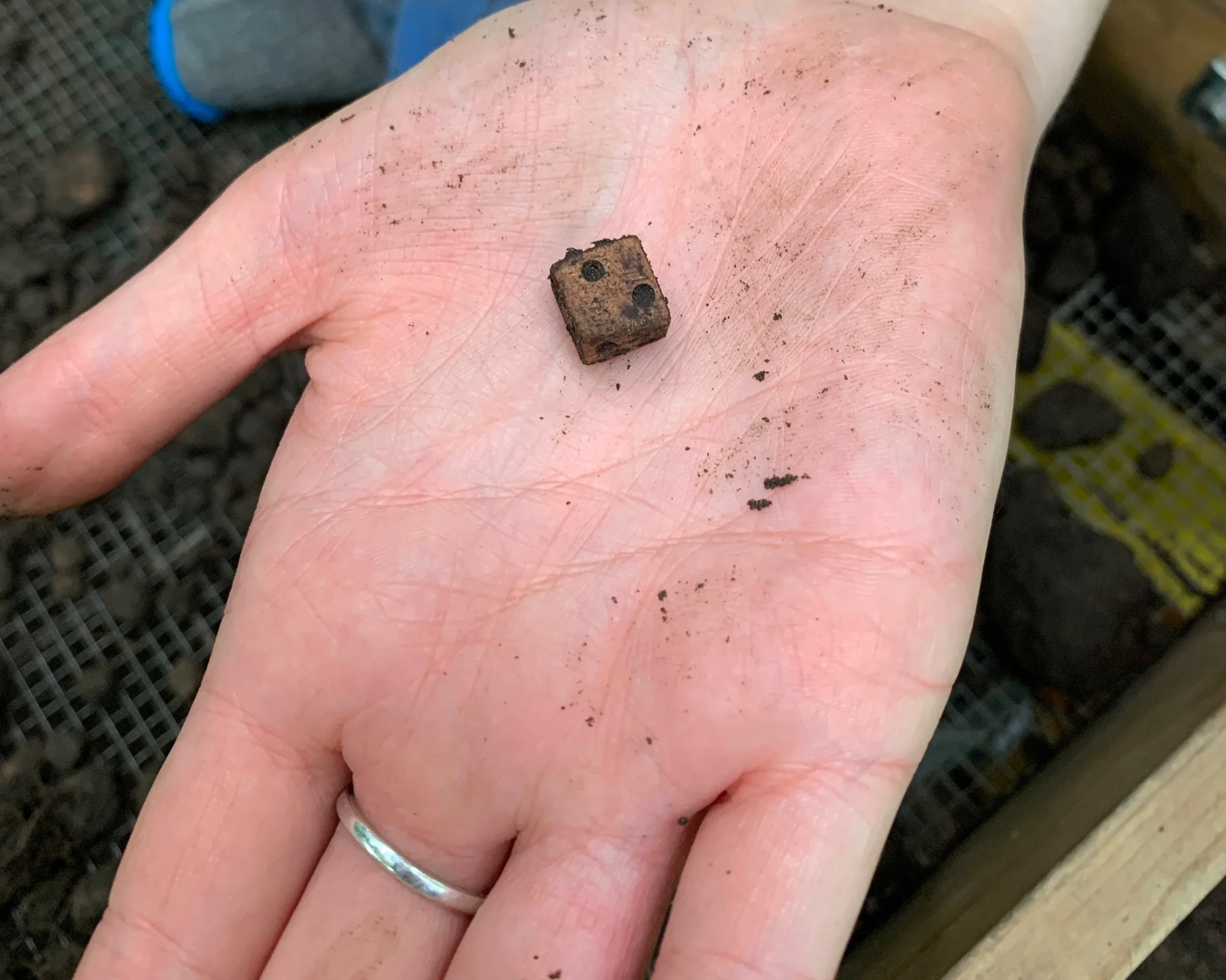 Lone Rock Stockade Archaeology Project — Tennessee Convict Stockade Project