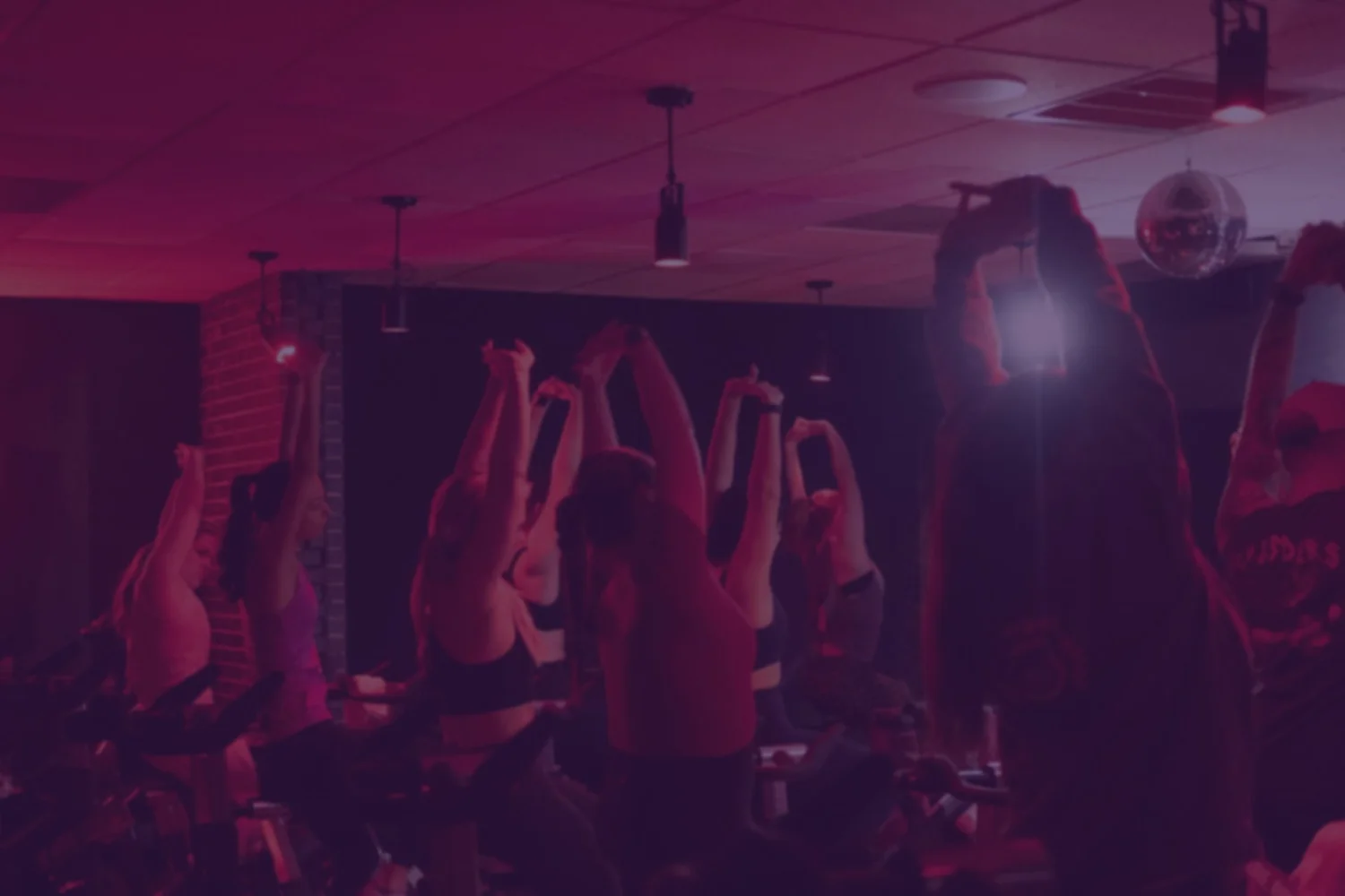 About — VAULT CYCLE & STRENGTH