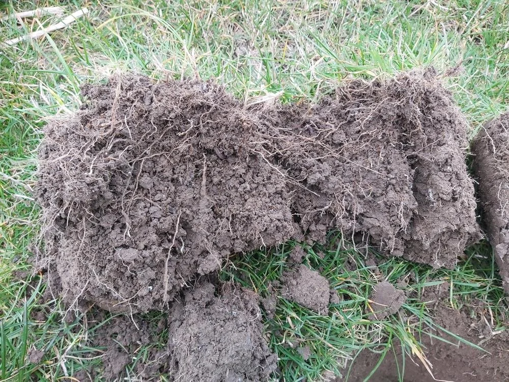 What is soil health? — Quorum Sense