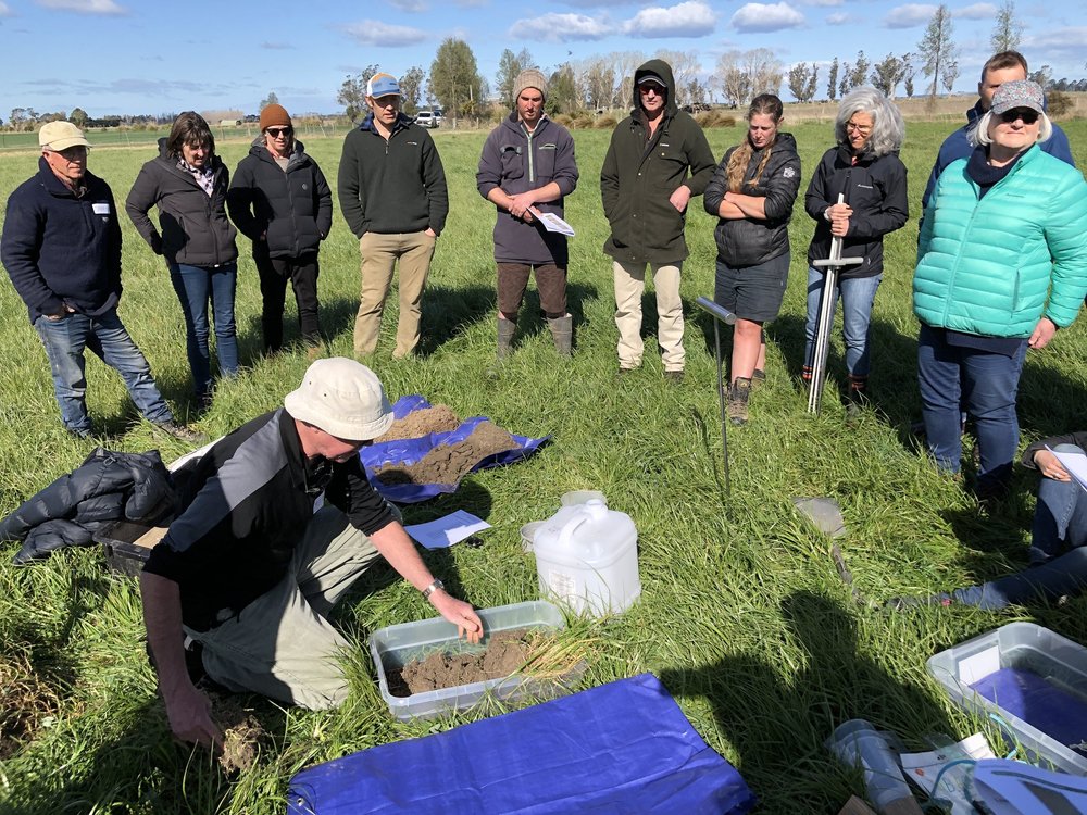 Catch the Rain Project — Quorum Sense