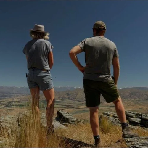 The toolbox — Quorum Sense