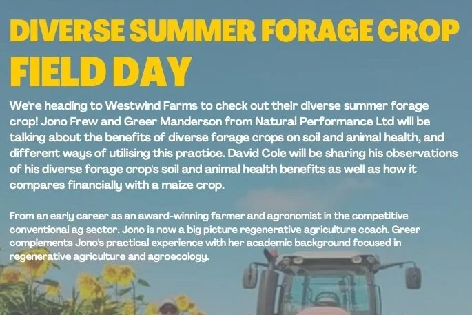 Northland/Kaipara: Summer forage crop field day — Quorum Sense