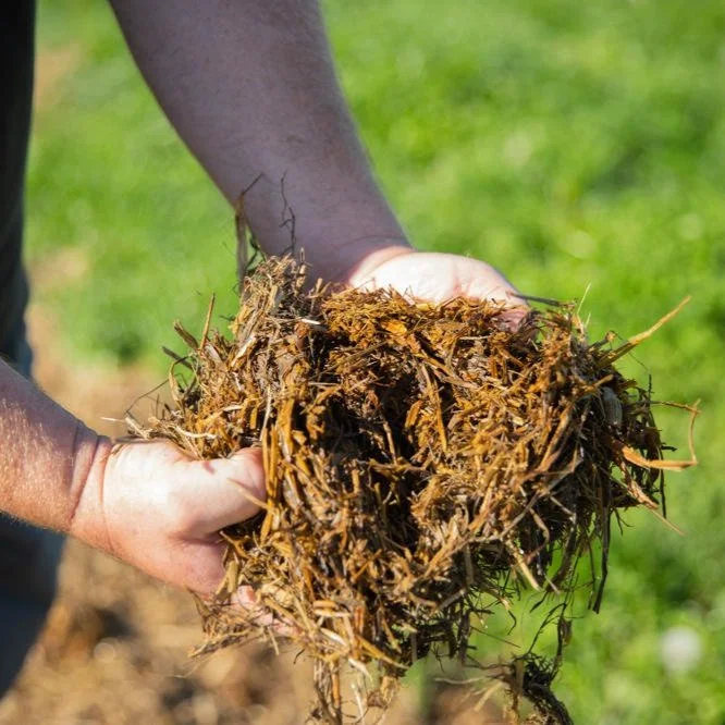 The toolbox — Quorum Sense