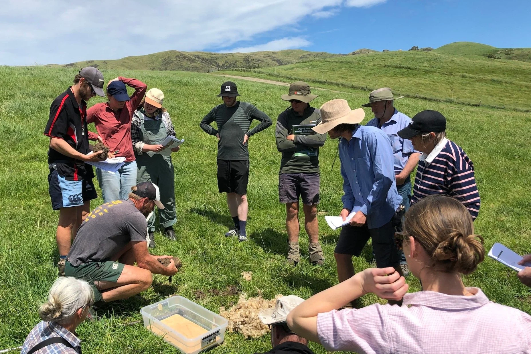 Regenerative grazing principles — Quorum Sense