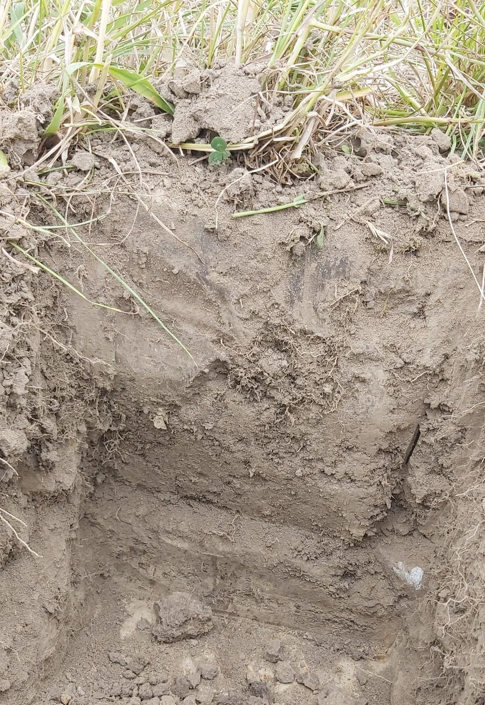 What’s affecting your rainfall infiltration and retention? — Quorum Sense