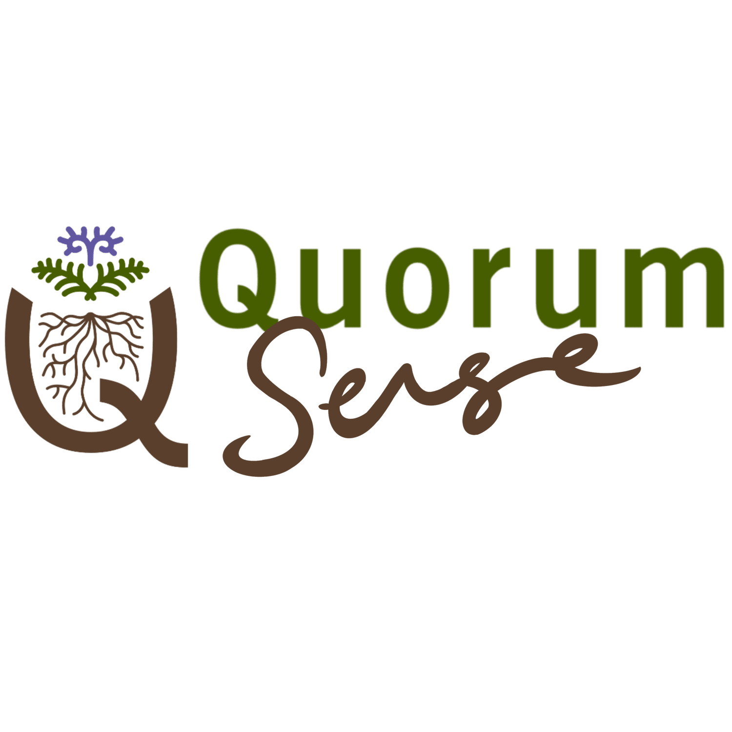 Quorum Sense