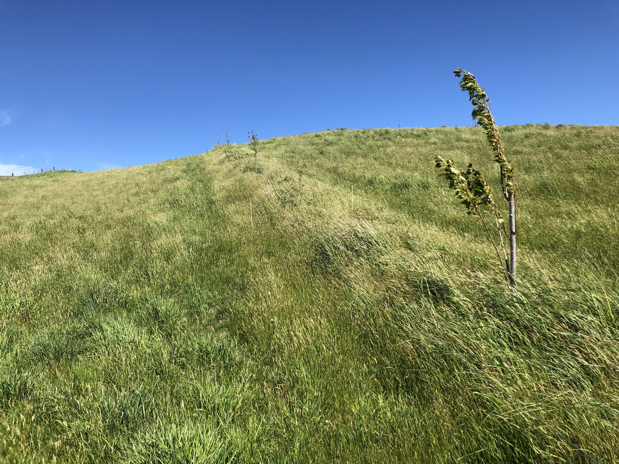 Diagnose your infiltration or retention opportunity — Quorum Sense