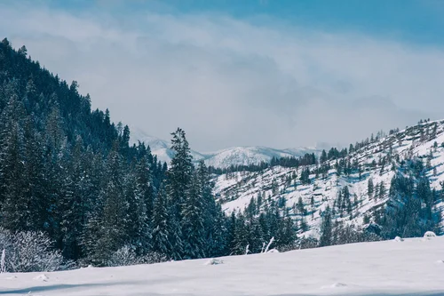 Eagle Creek Sleigh Rides