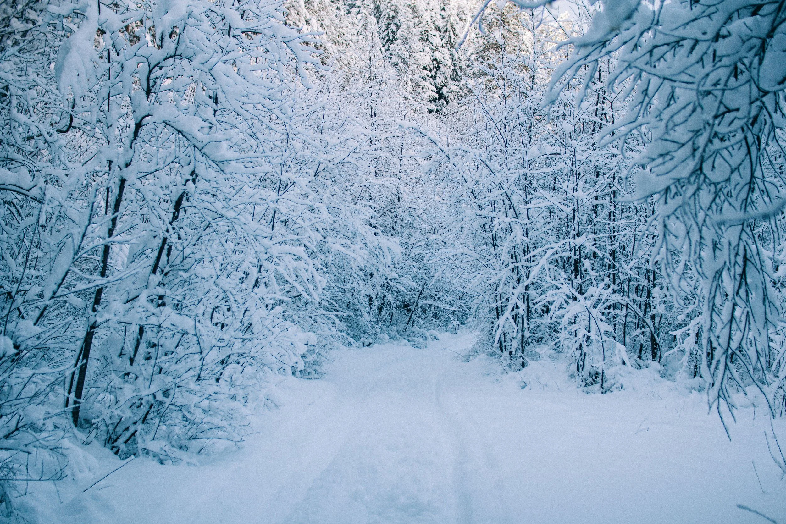 Eagle Creek Sleigh Rides
