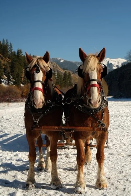 Eagle Creek Sleigh Rides