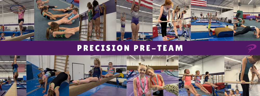 Pre-Team — Precision Elite
