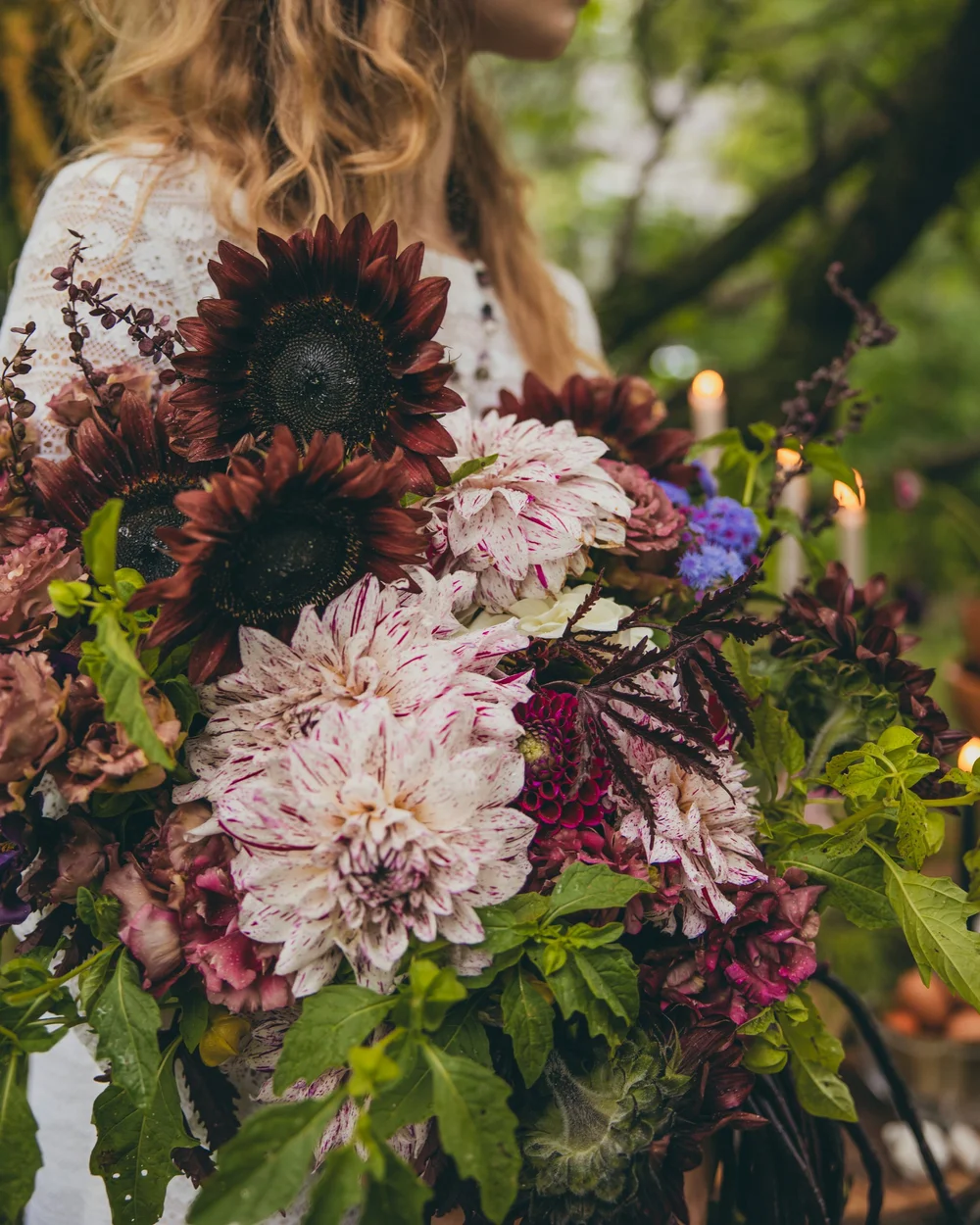 Violet Lane | Artful Botanicals for the Wildly Curious