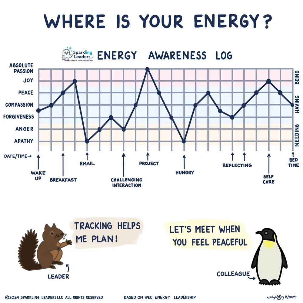 Mapping Feelings to the Energetic Self-Perception Chart (iPEC Energy ...