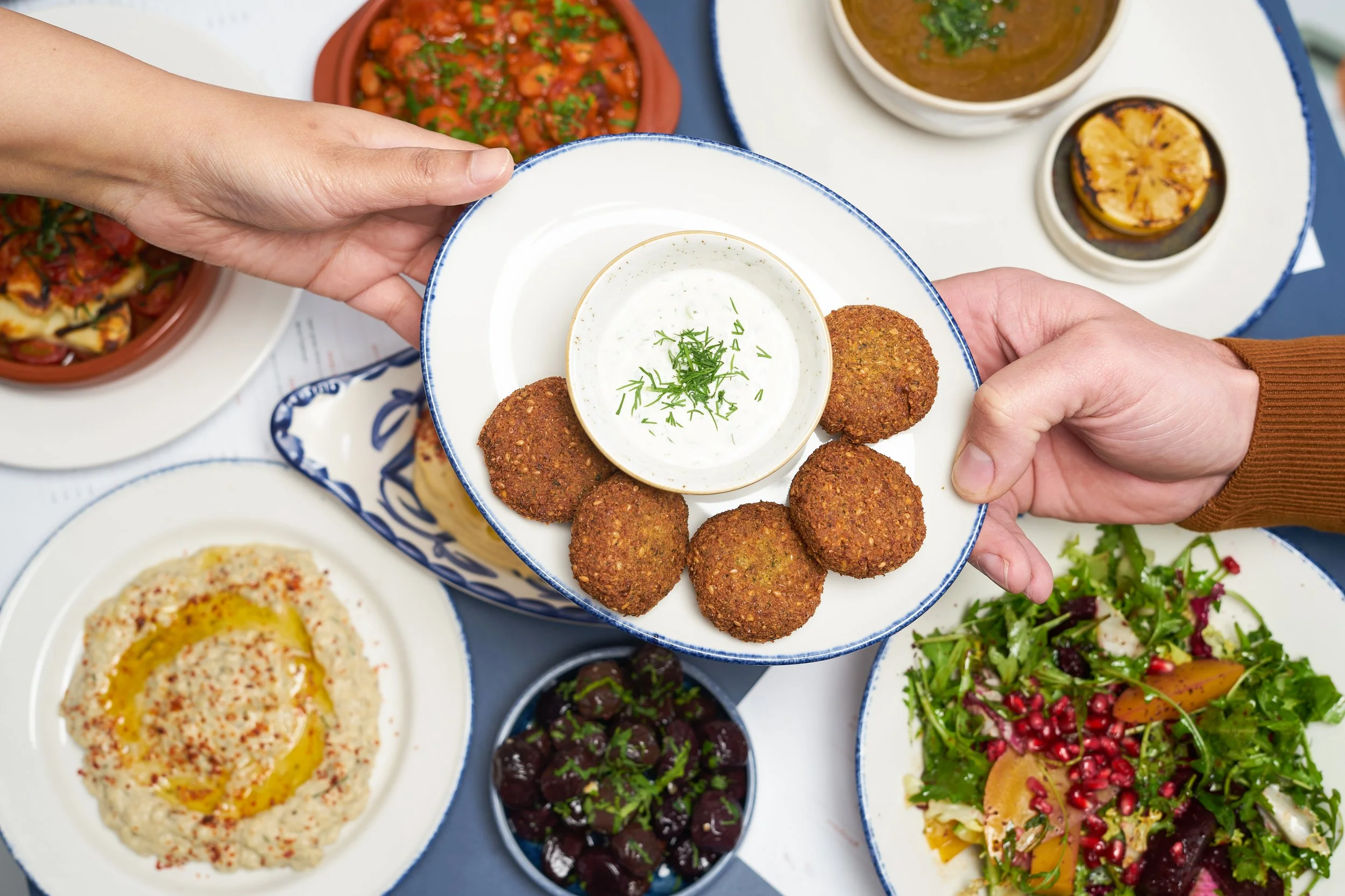 Brody Cook Photography