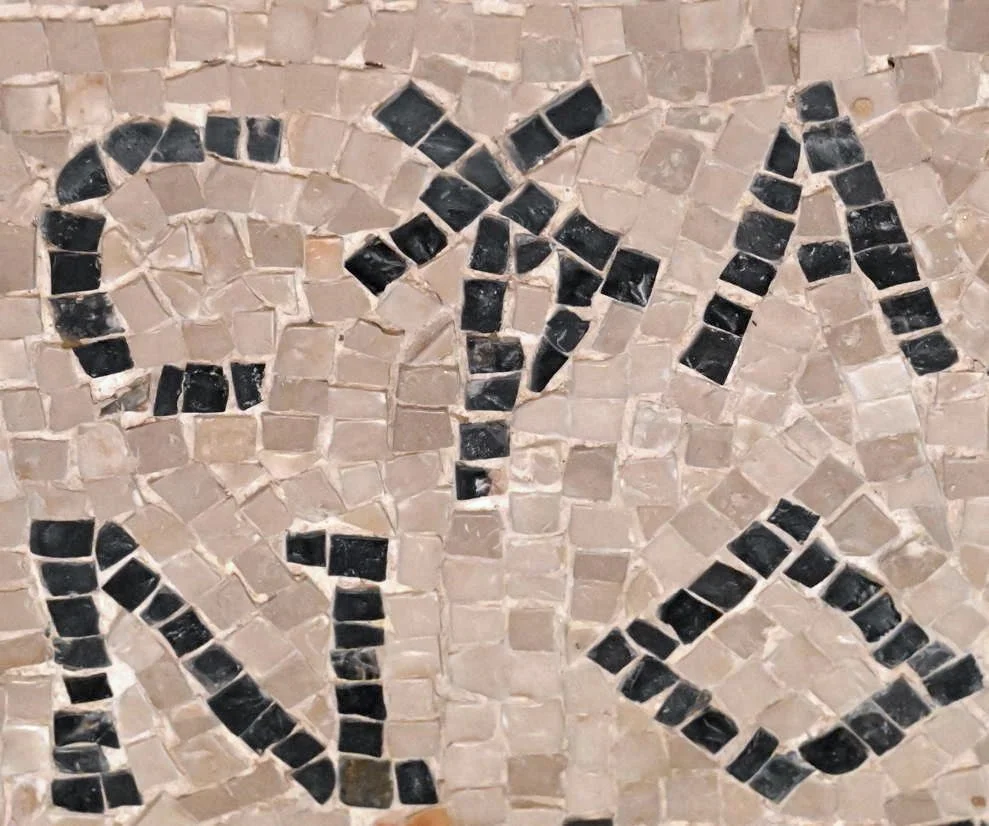 The Megiddo Mosaic — Gesher Media