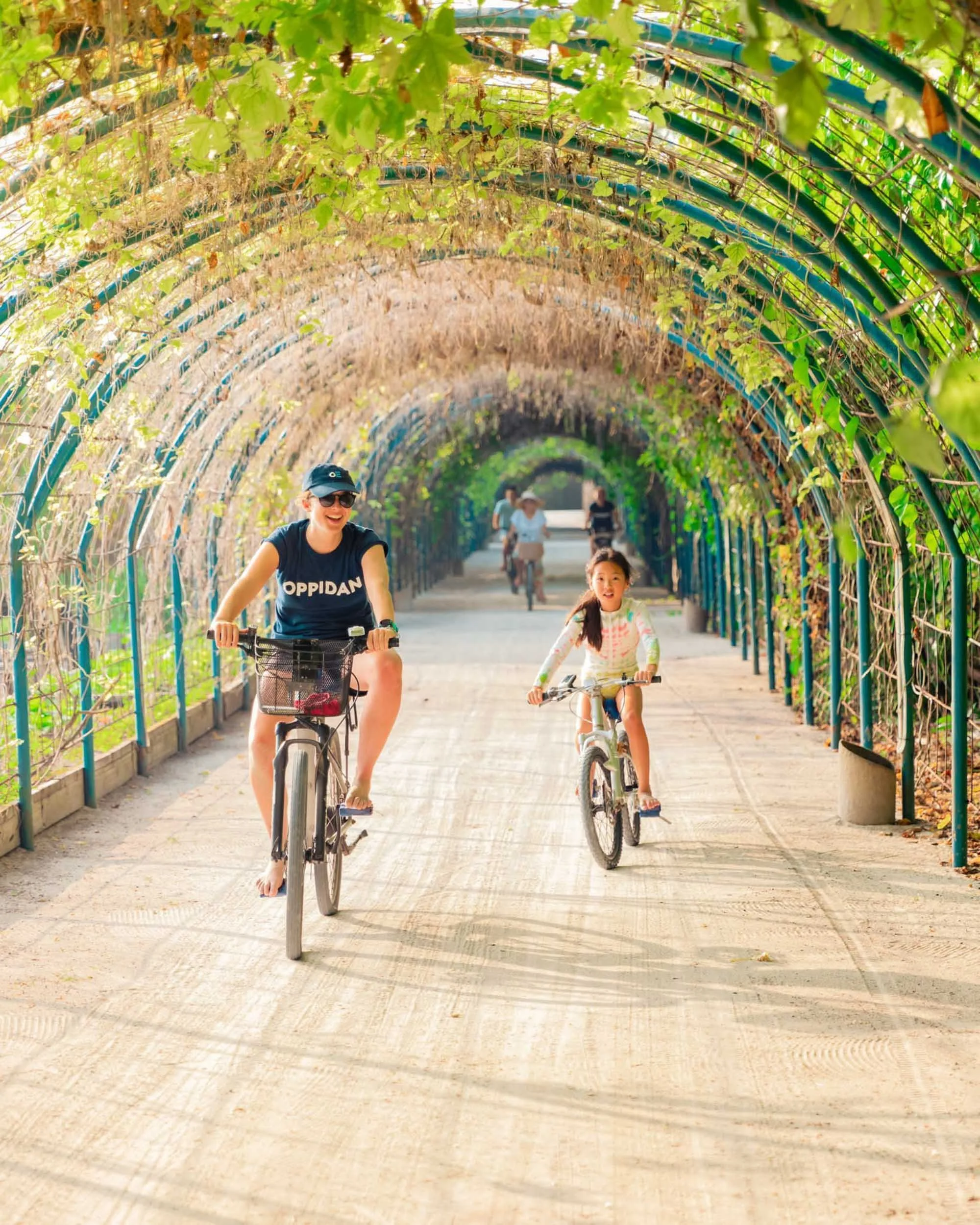 Oppidan x Soneva: join us in the Maldives | Oppidan Education