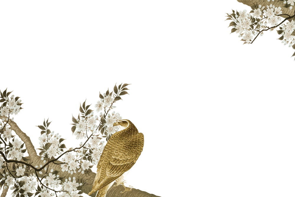 Poems — James Crews