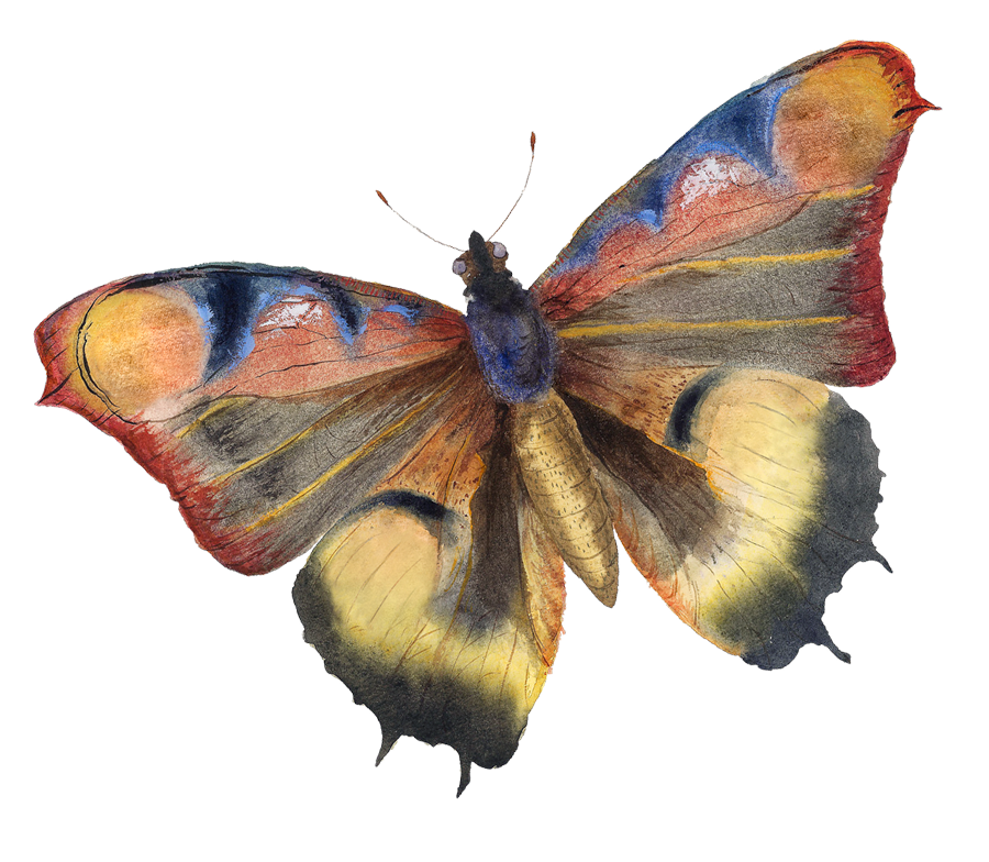 About & Press — James Crews