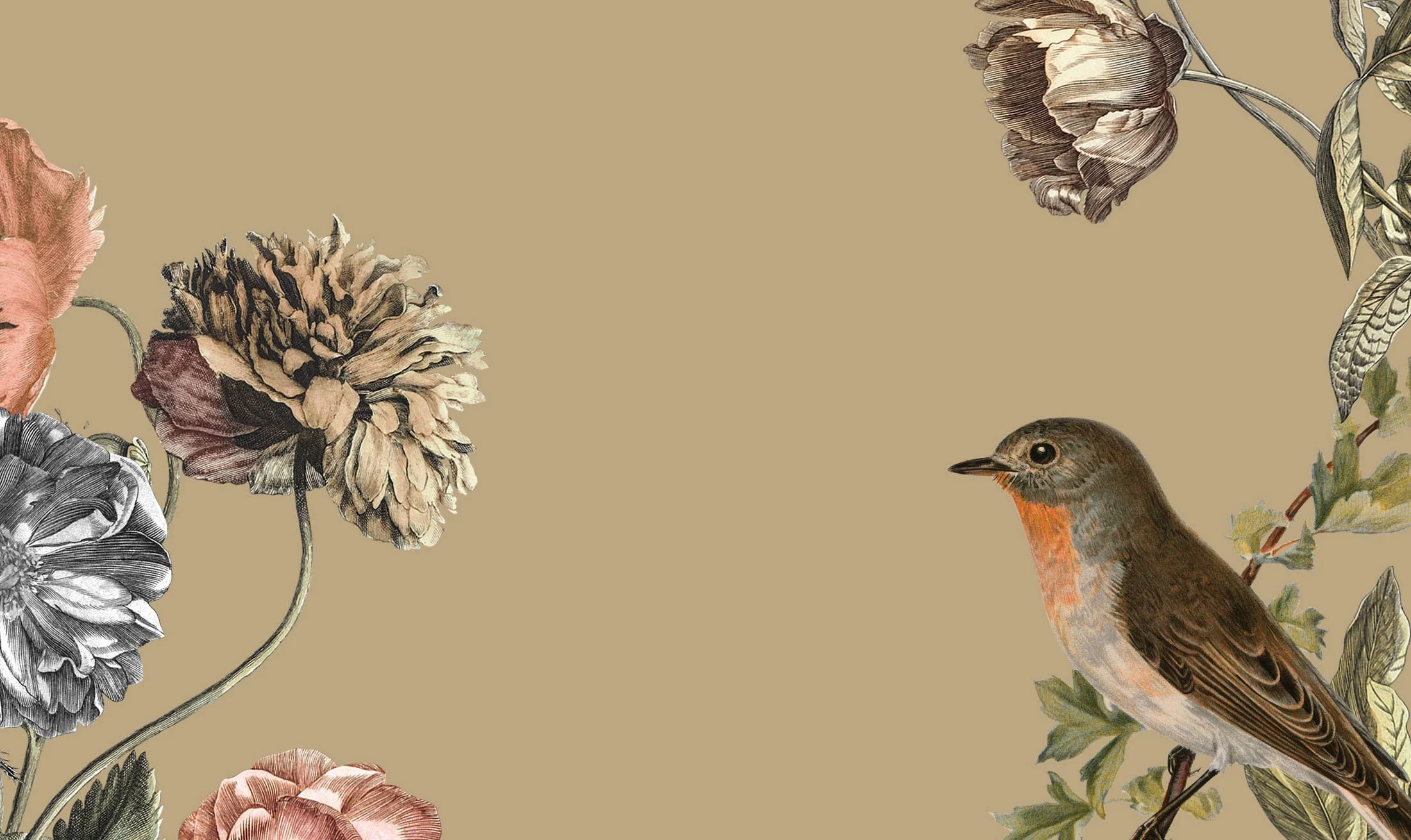About & Press — James Crews