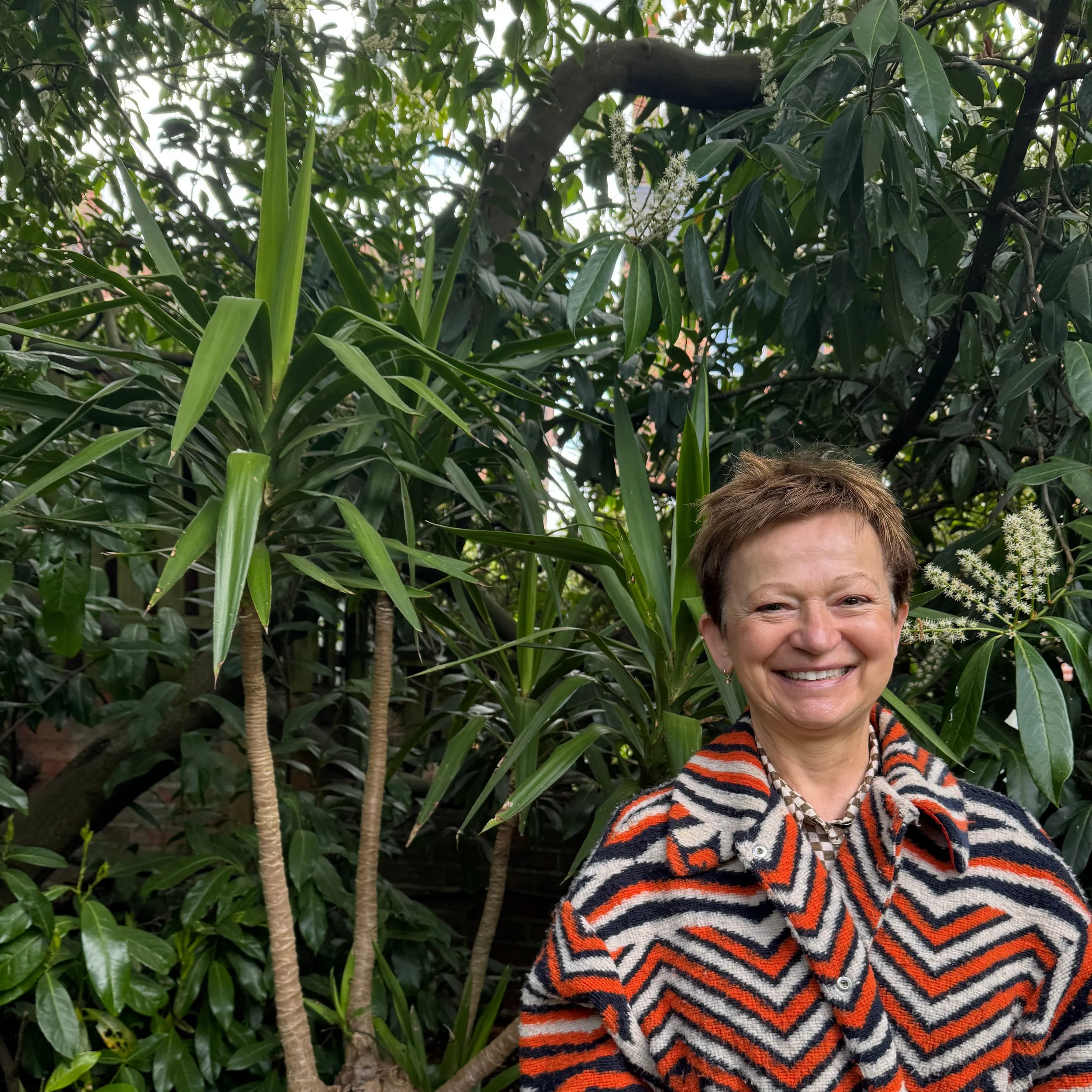 Fay’s Yucca Plant — Our Plant Stories