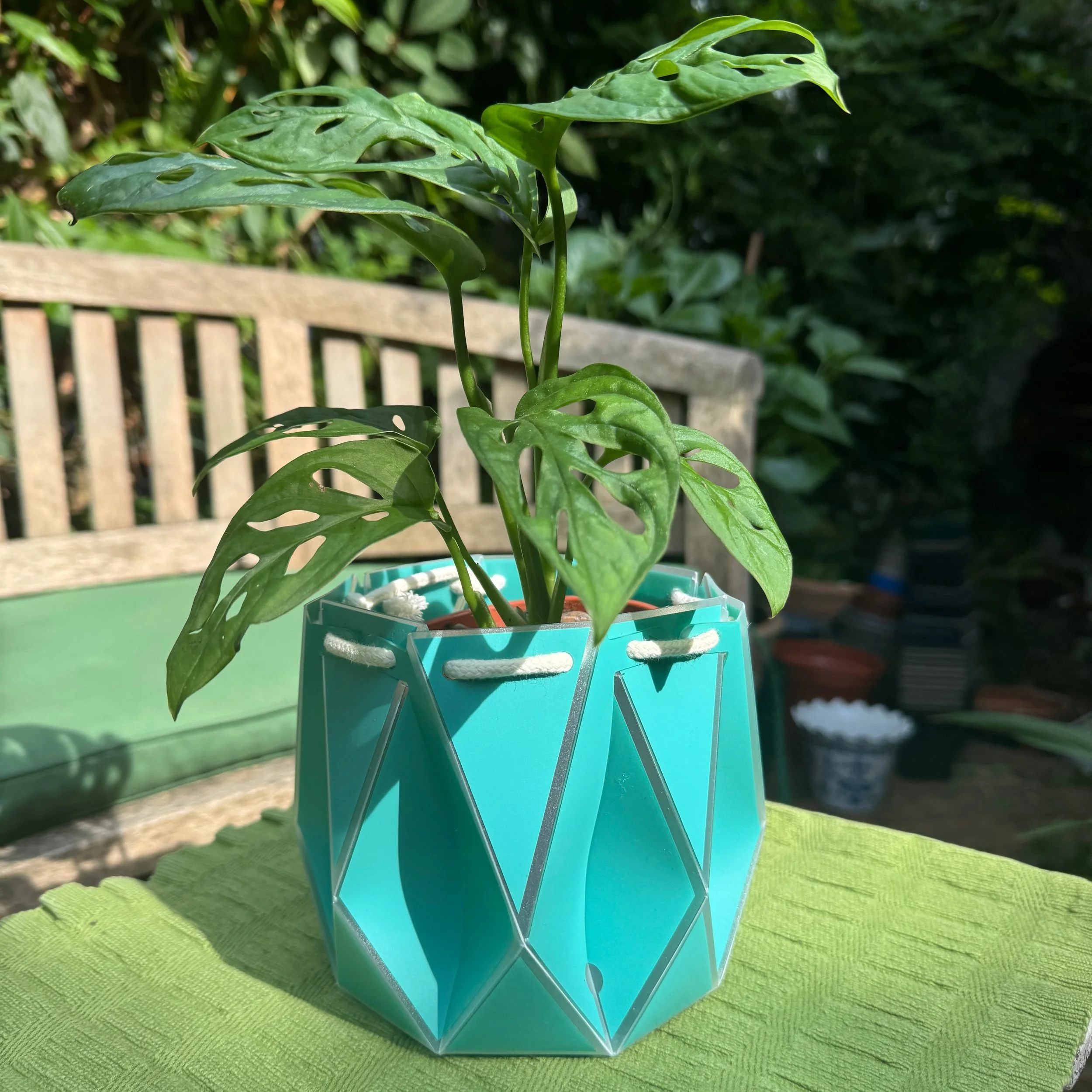 Origami plant pots — Our Plant Stories