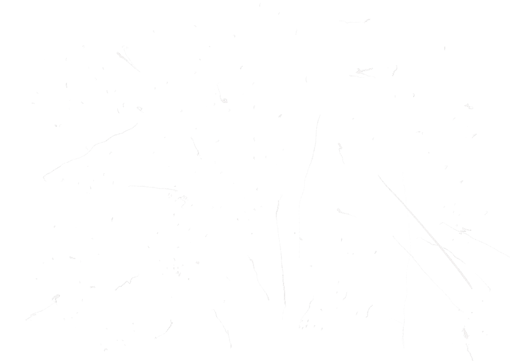 Team — The Decade Project