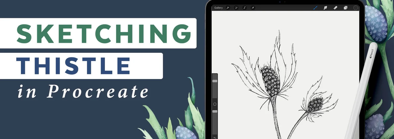 Sketching Thistle Flowers in Procreate — Procreate Digital Art and Pattern Design