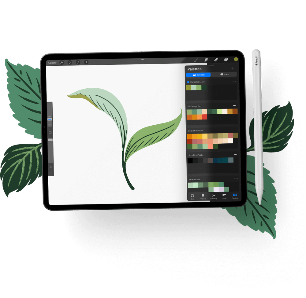 Drawing Plants in Procreate — Procreate Digital Art and Pattern Design