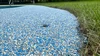 The Best RevaFlex Rubber Pool Deck Coating Company in Florida — Flagler ...