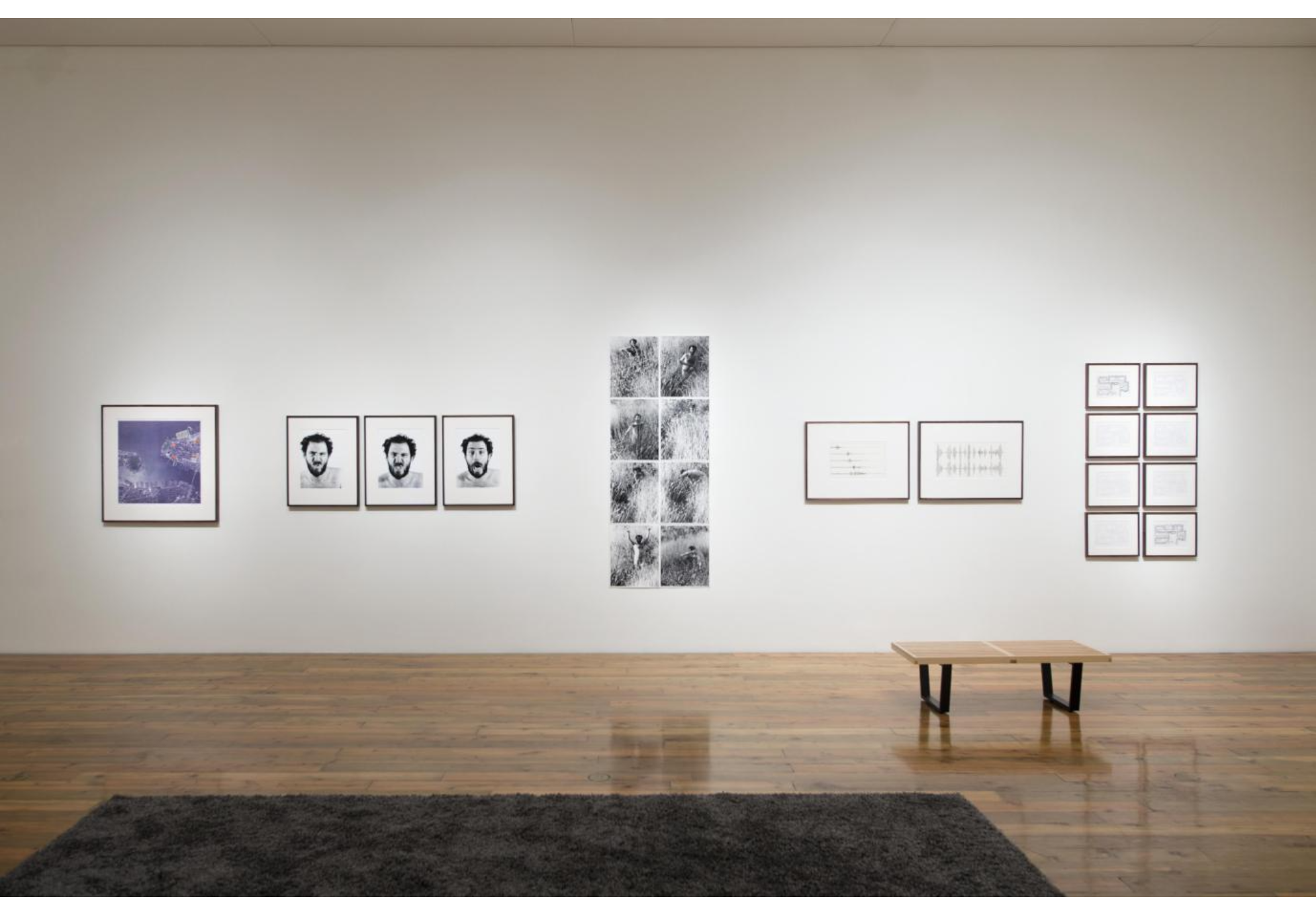 Overview Exhibition — Alan Sonfist