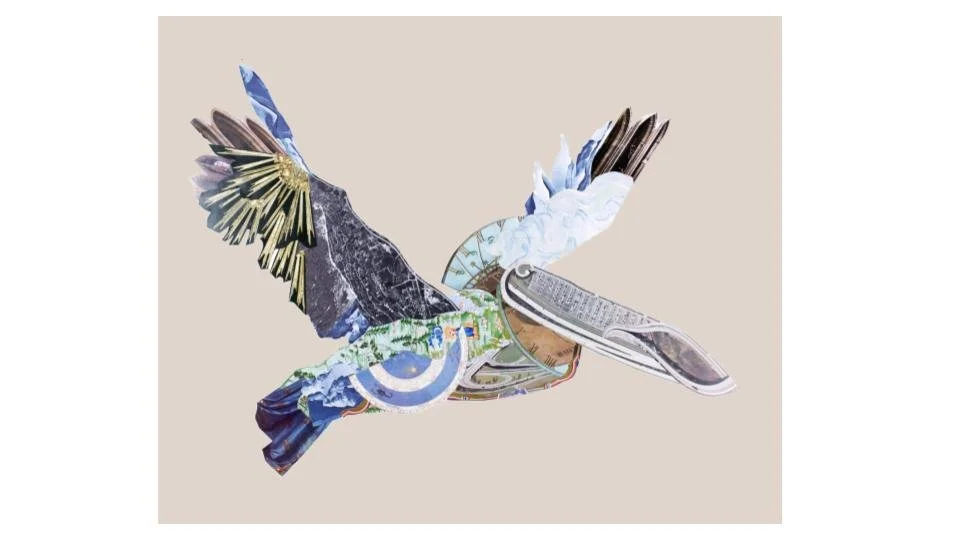 Aves Endangered Birds of the World Collage — Alan Sonfist