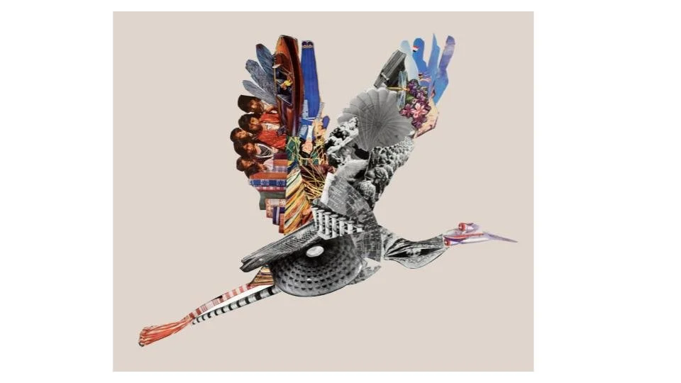 Aves Endangered Birds of the World Collage — Alan Sonfist