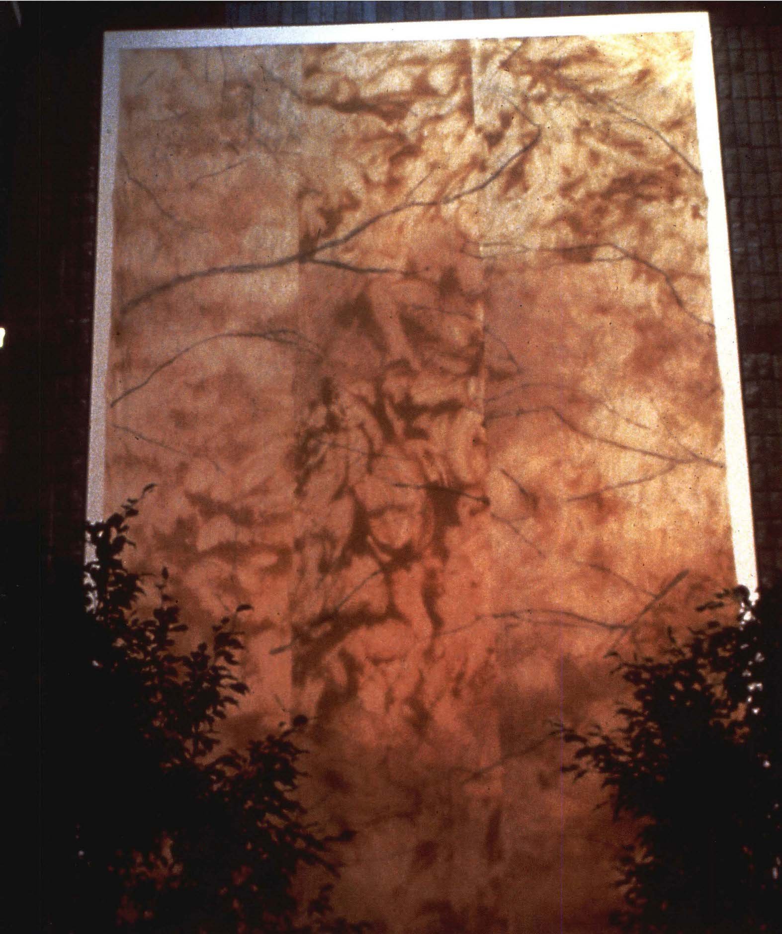 Burning Forest Paintings — Alan Sonfist
