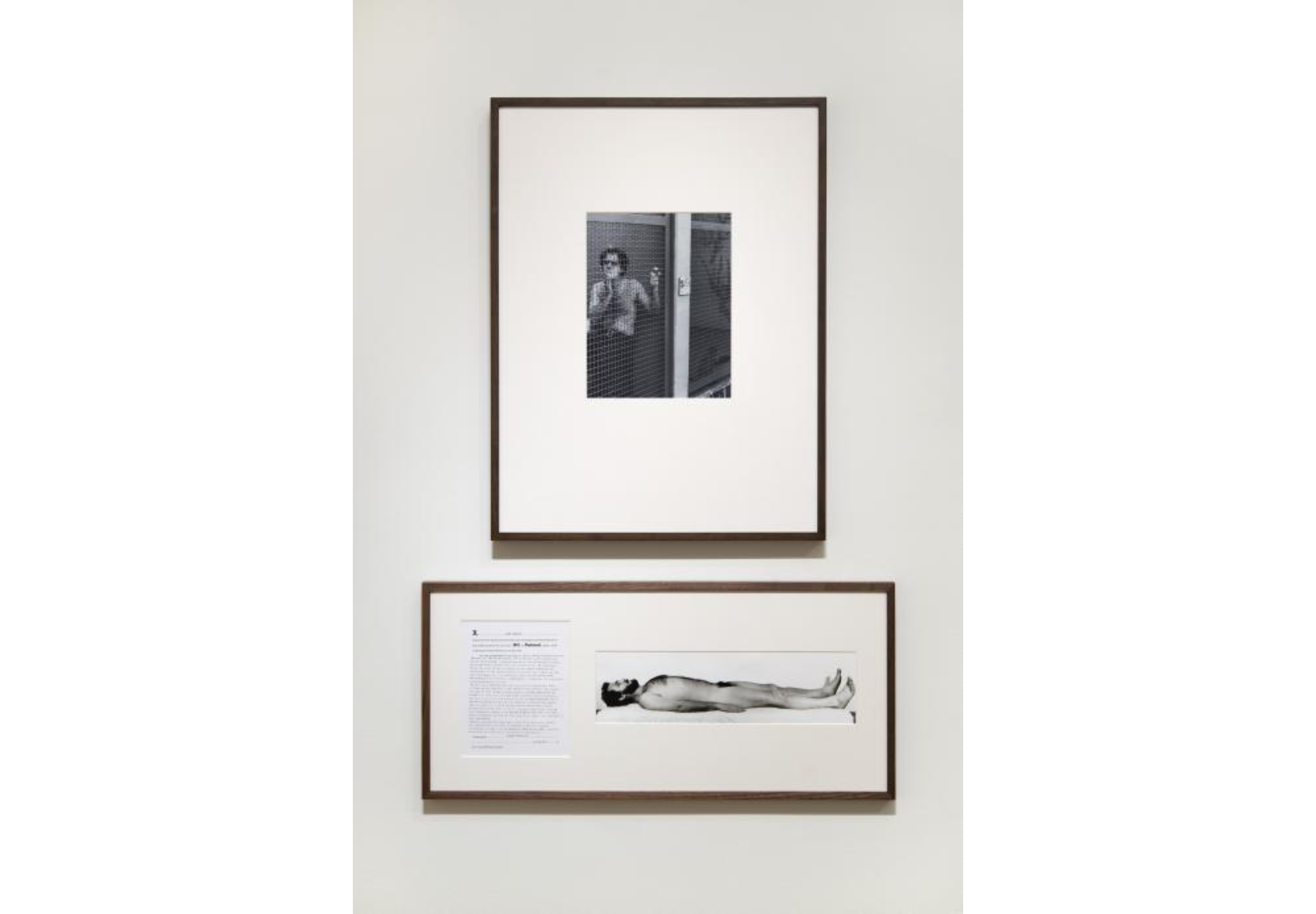 Overview Exhibition — Alan Sonfist
